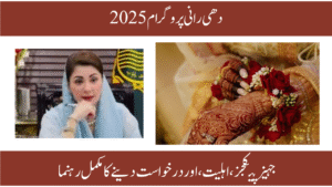 CM Punjab Dhee Rani Program 2025: Comprehensive Guide to Dowry Packages ...