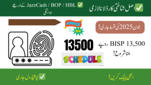 BISP Kafalat June 2025 Payment Details Explained - azag-punjabgov.com.pk